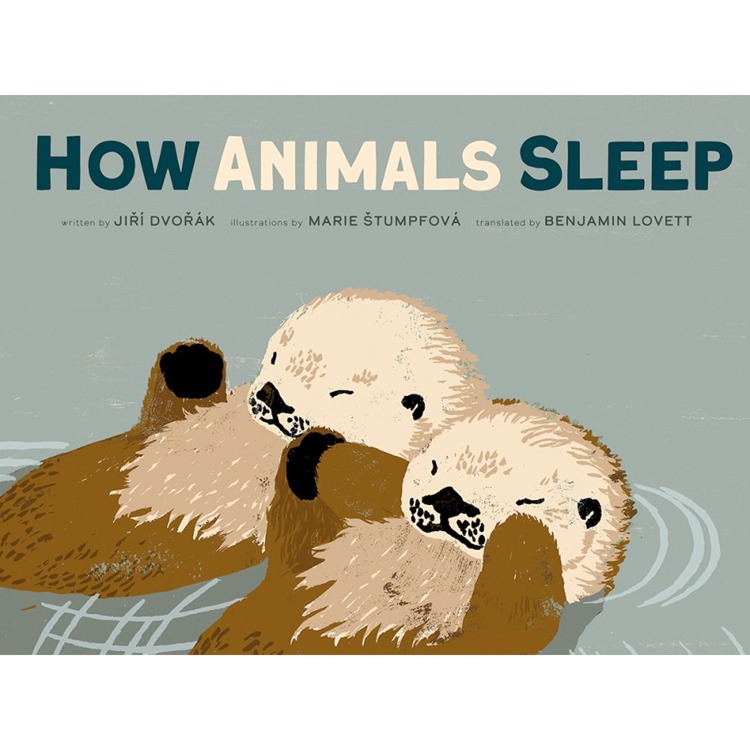 How Animals Sleep | Simblist Group