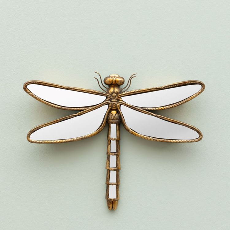 Mirrored dragonfly | Simblist Group