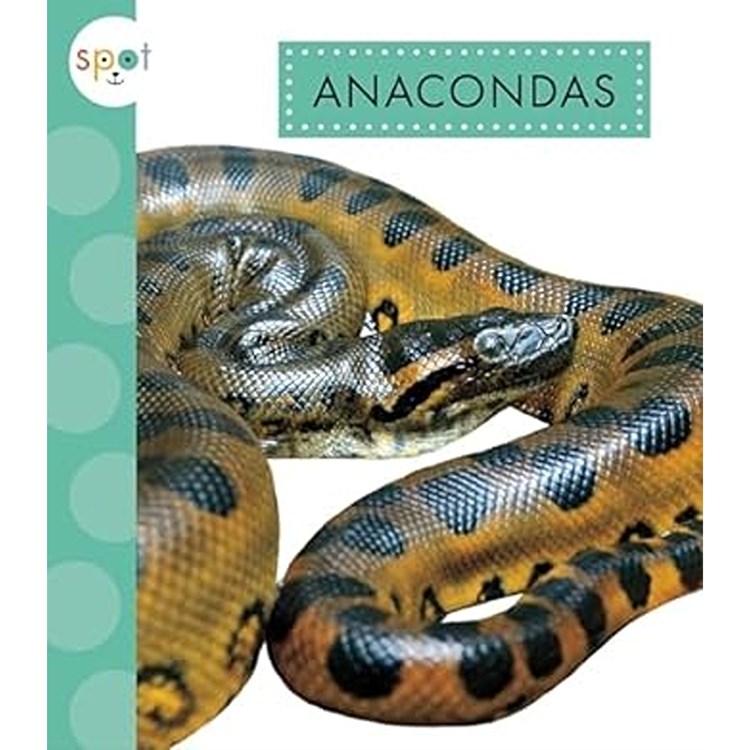 Spot Rainforest Animals: Anacondas | Simblist Group