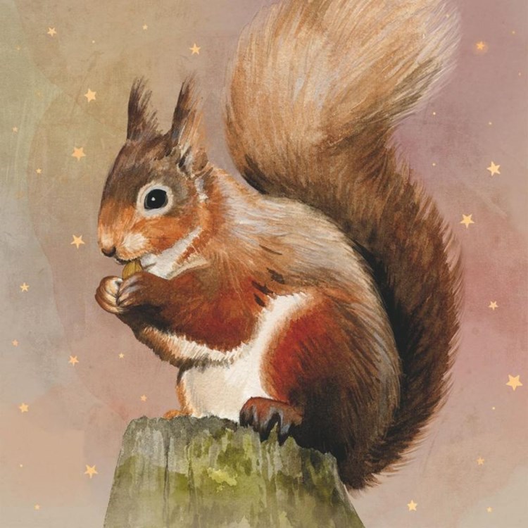 BEV-JUDY | Simblist Group