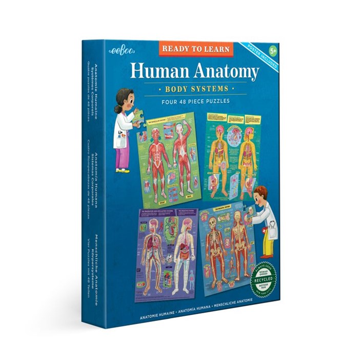 Ready to Learn- Human Anatomy 48Pc Set | Simblist Group
