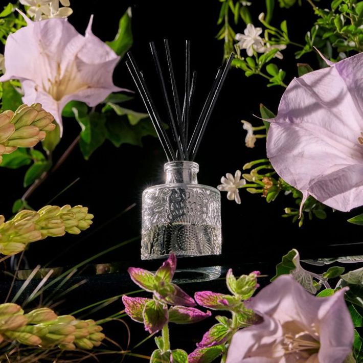 Jasmine Midnight Blooms Reed Diffuser | Simblist Group
